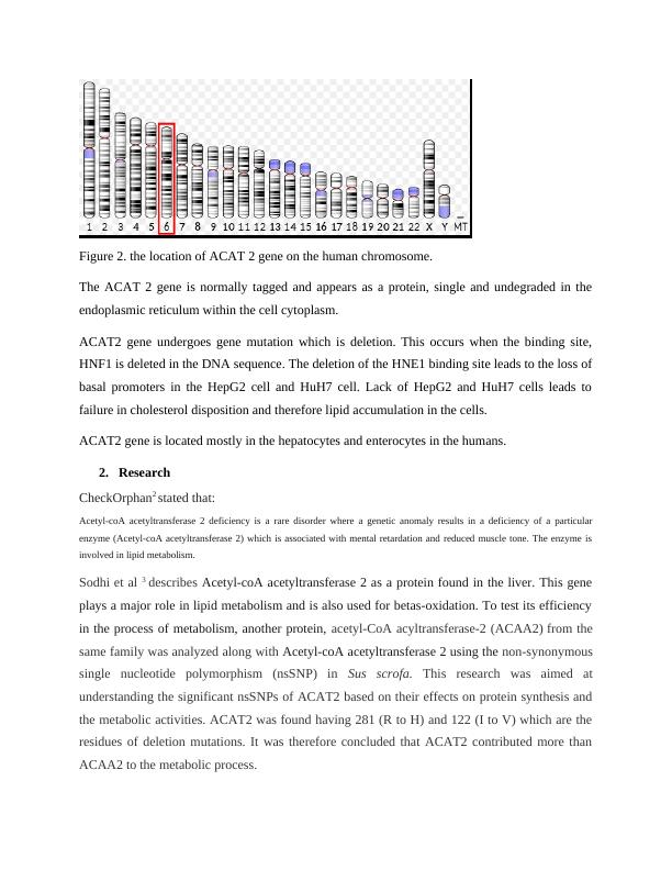 Acetyl CoA Acetyltransferase 2 Deficiency: Overview, Research ...