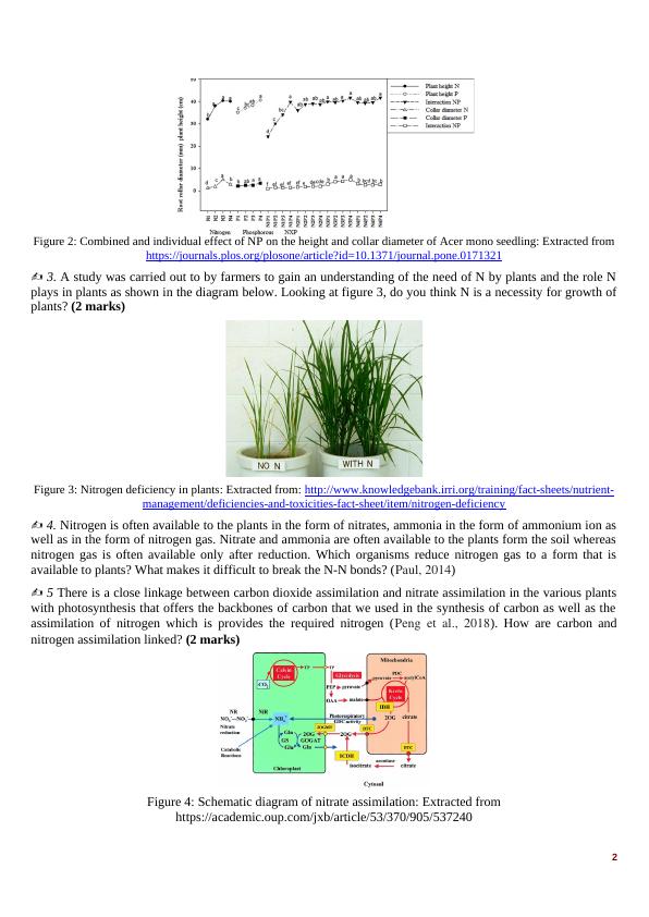 Biological Nitrogen Fixation: Chances of Increasing Nitrogen Fixation