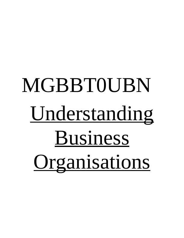 Understanding Business Organisations in Hospitality and Tourism Industry