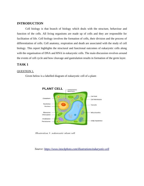 "Understanding Cell Biology: Exploring the Complex Structure, Vital Functions, and Intricate ...