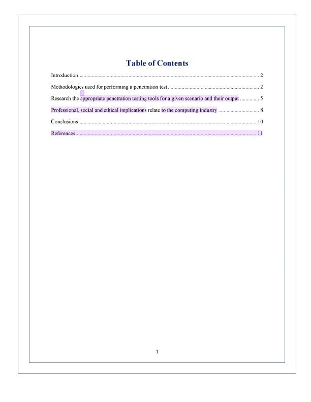Plagiarism Report for Cyber Security Penetration Testing v4