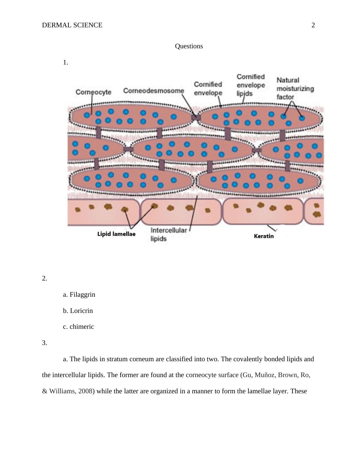 Dermal Science - Study Material on Skin Structure and Immune System