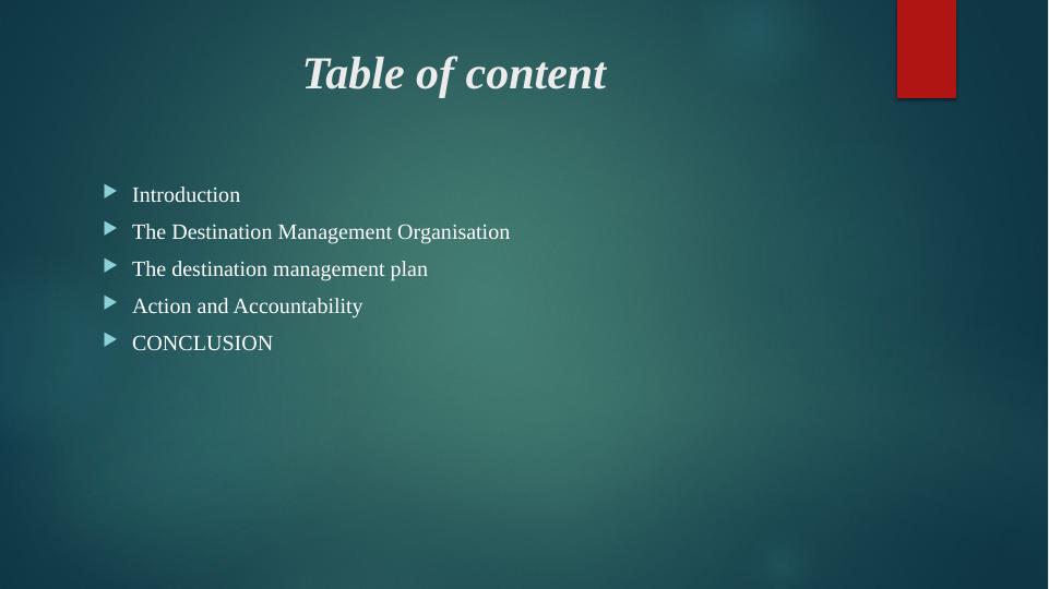 Destination Management Plan: Understanding DMOs and their role