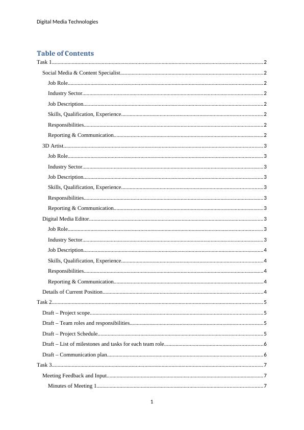 Digital Media Technologies Report: Project Analysis