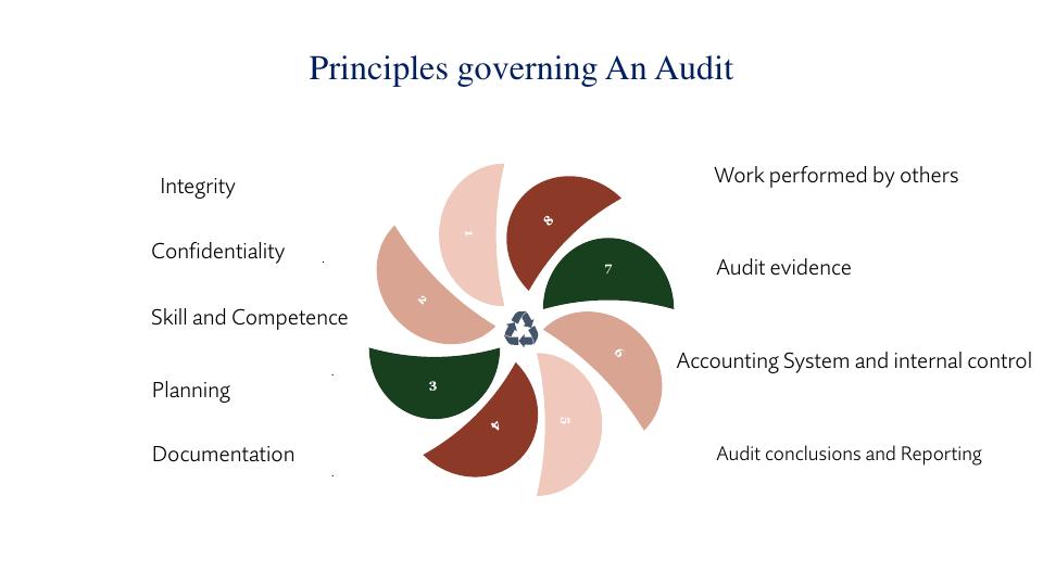Public sector auditing