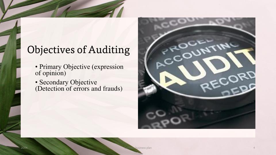 Public sector auditing