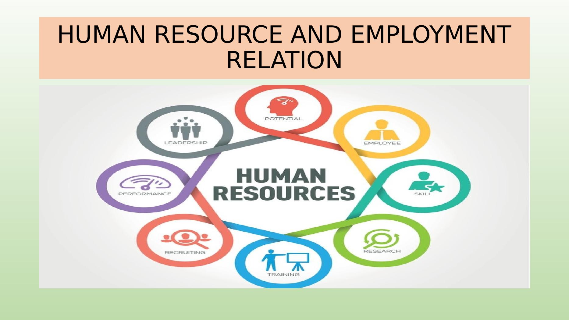 BUSM4504: HR Policies and Employment Relations Report
