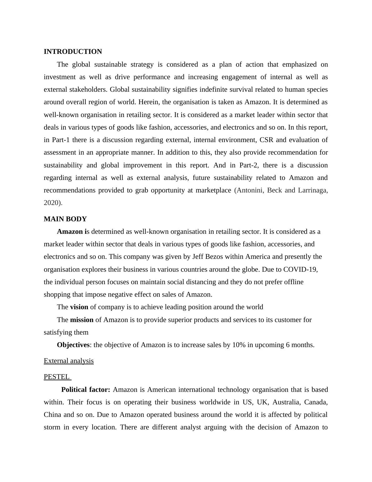 Amazon Global Strategy and Sustainability Report Overview