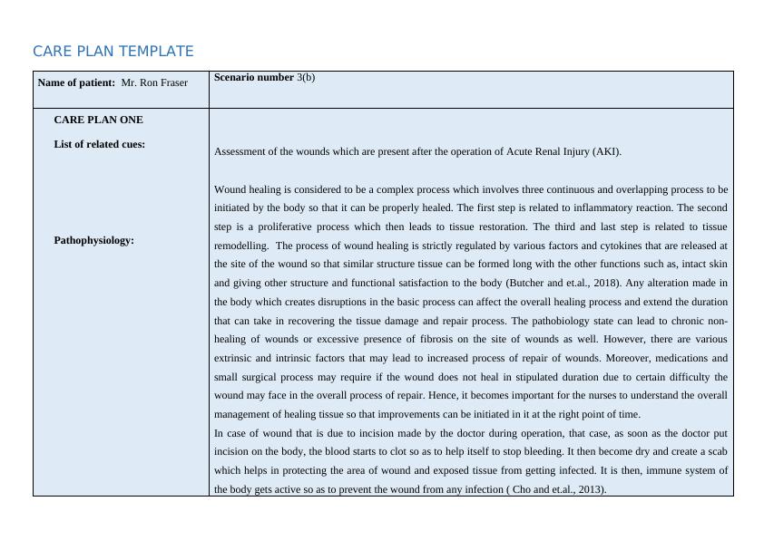Care Plan: Wound Healing and Chemotherapy for Mr. Fraser