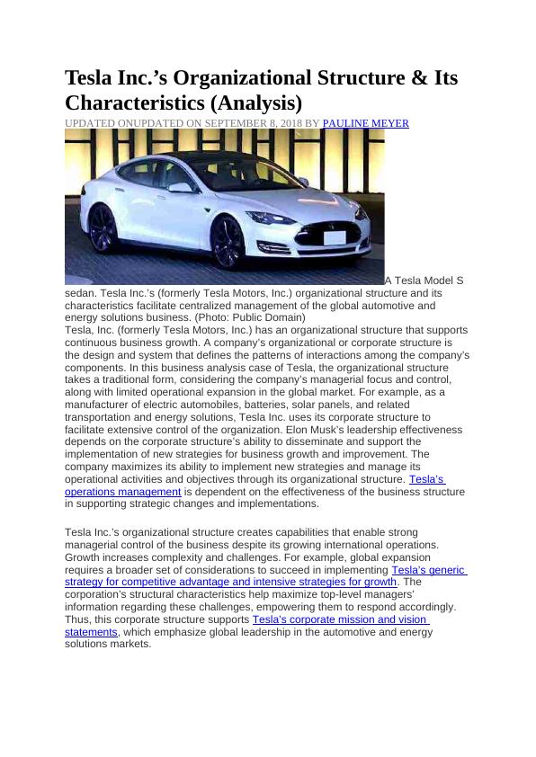 Organizational Structure Analysis: Tesla Inc. Report