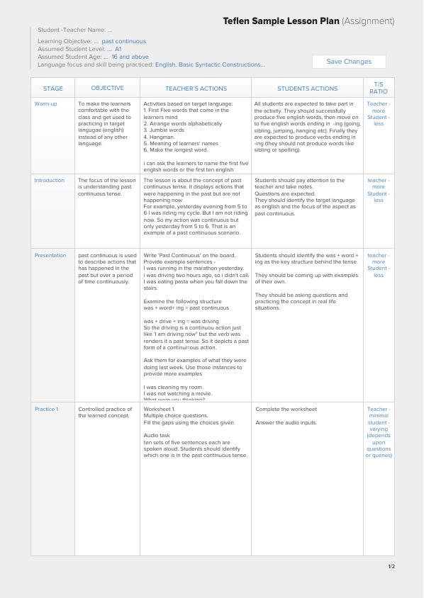 Teflen Assignment: Past Continuous Tense Lesson Plan