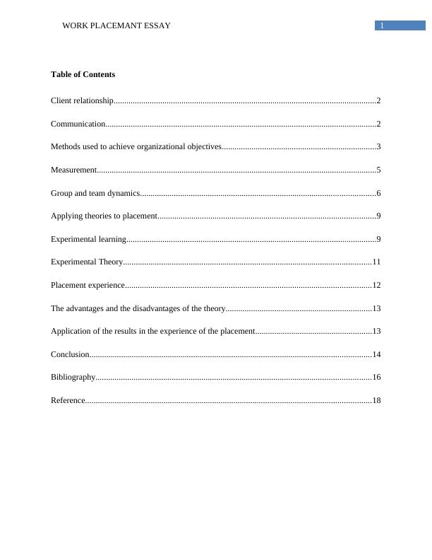 Work Placement Essay: Business Development and Strategy