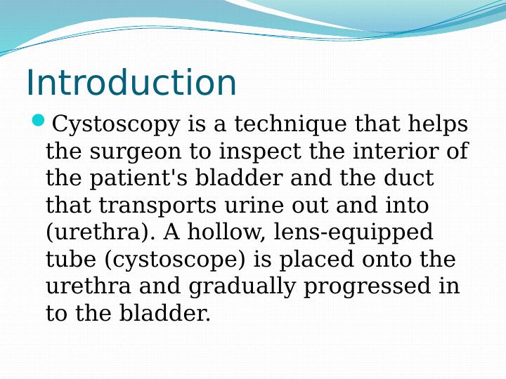 Cystoscopy Procedure: Detailed Overview and Process