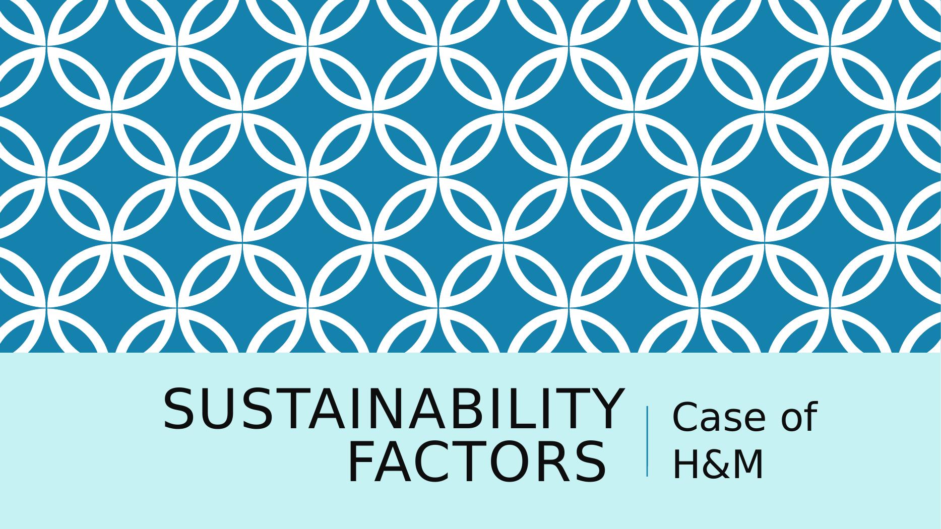 Case Study on Sustainability factors 2022