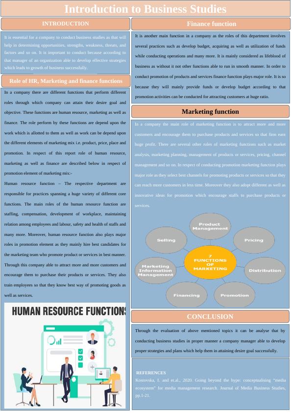 Business Studies Report: Analysis of HR, Marketing, Finance