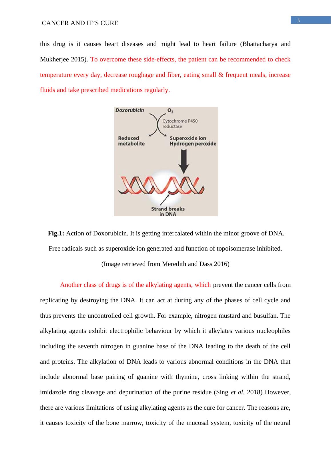 Cancer and Its Cure. - Selective Toxicity of Anticancer Medicines
