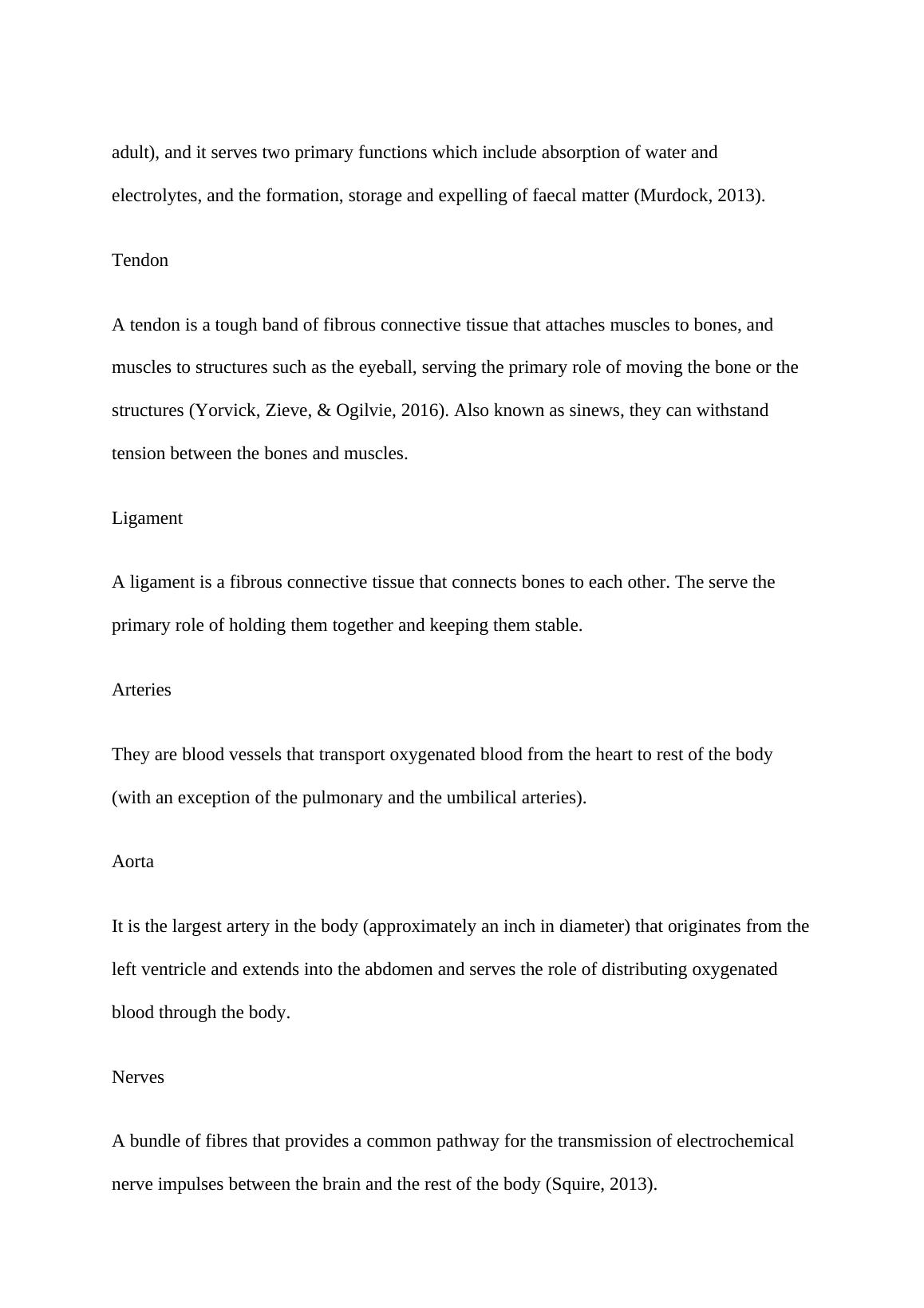 Anatomy: Definitions, Body Description, and References