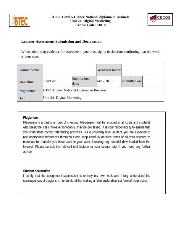 BTEC Level 5 Digital Marketing Plan and Analysis Report