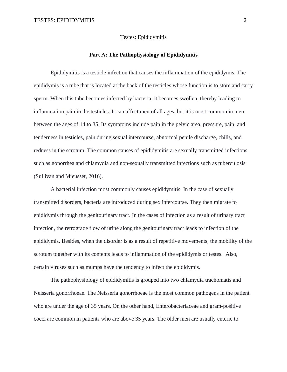 Epididymitis: Testicle Infection