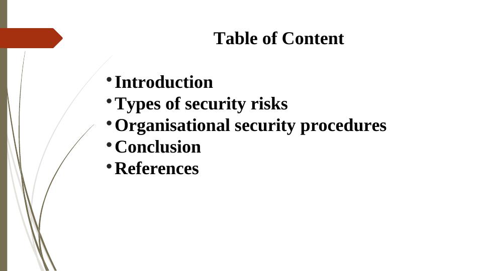 IT Security Report: Risks, Procedures, and Security Measures