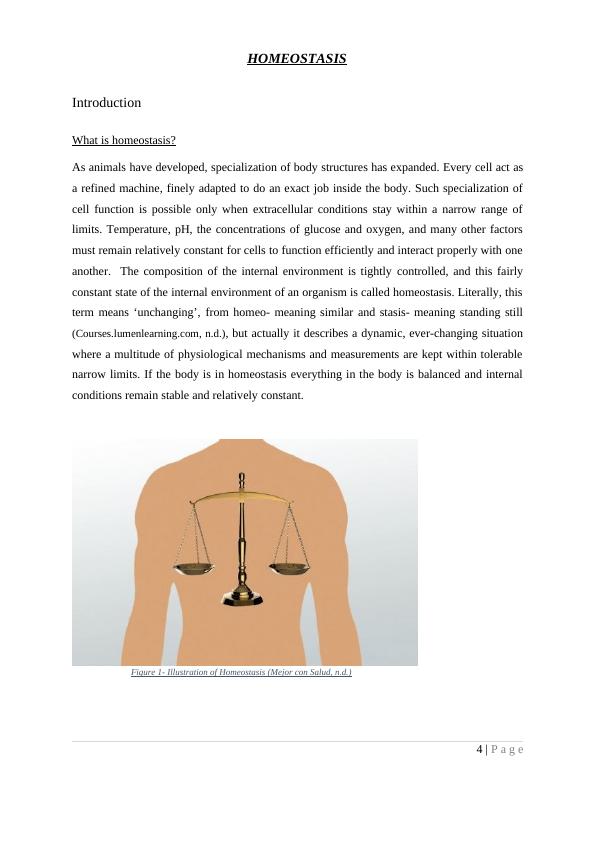 A physiologist's view of homeostasis