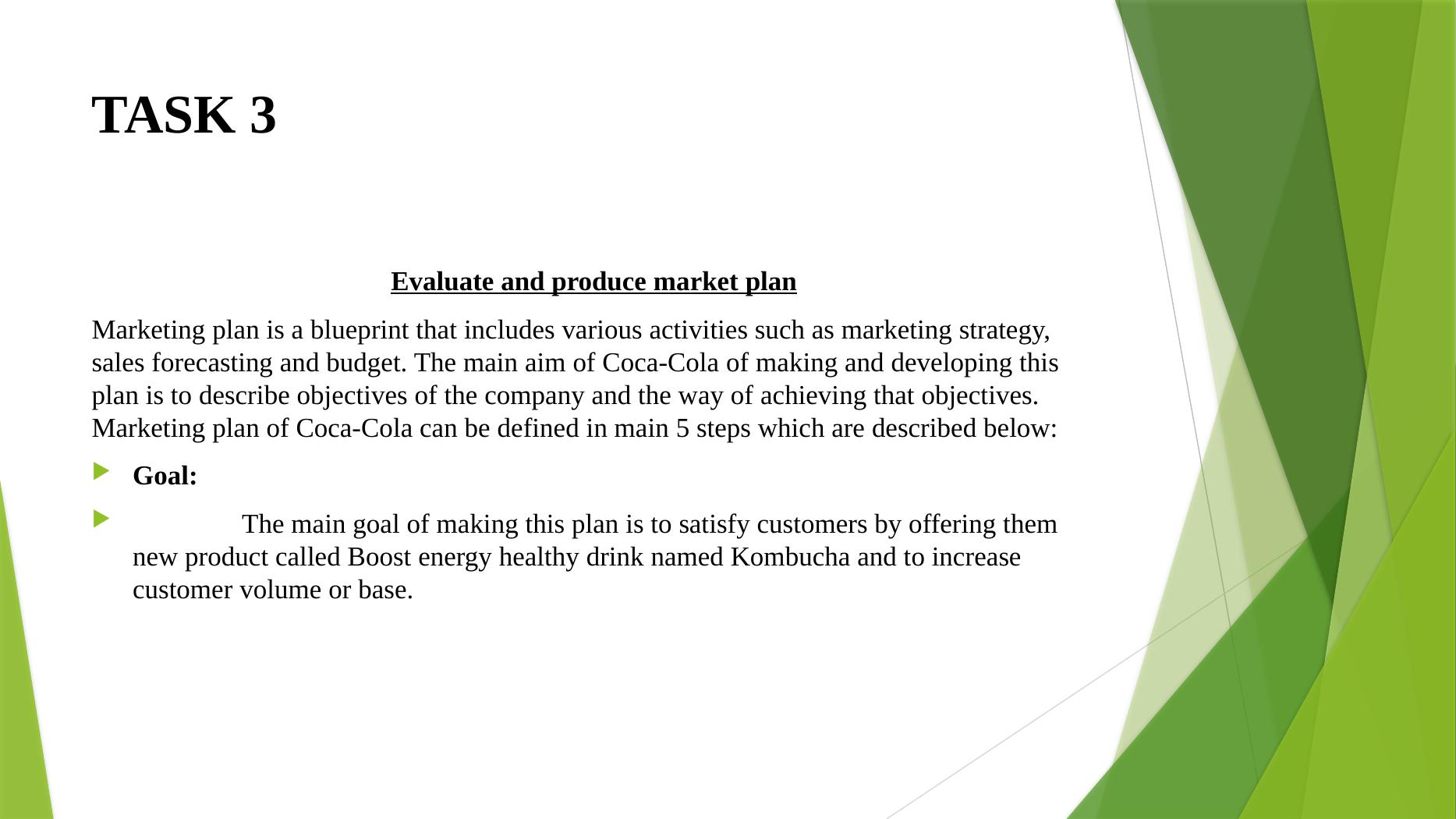 Coca-Cola Marketing Plan: Strategy, Analysis, and Evaluation