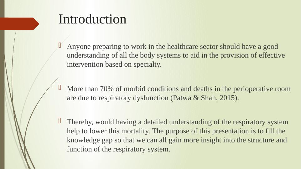 Respiratory System: Structure, Function, and Homeostasis