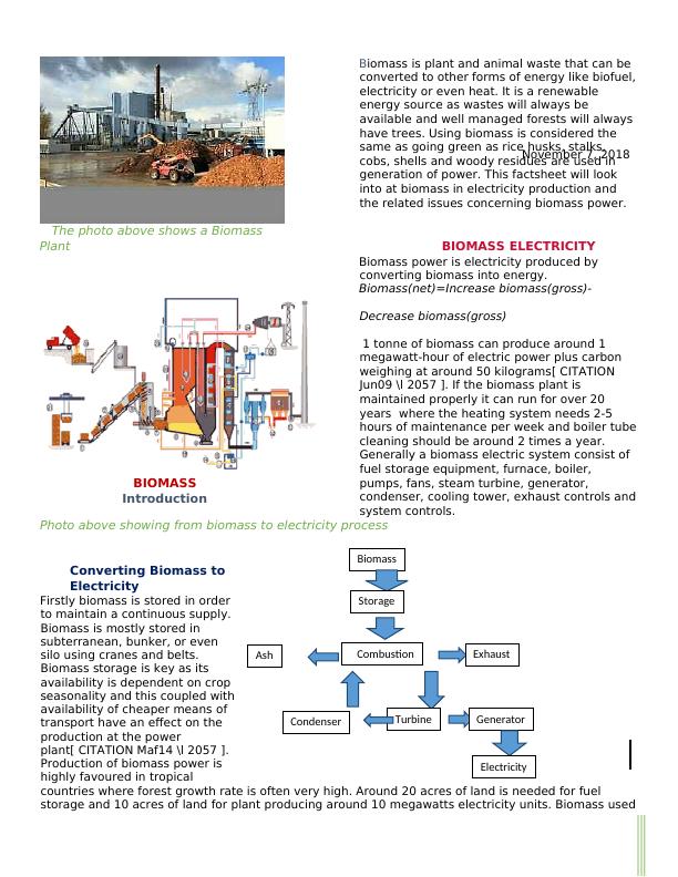 Environmental Engineering: Biomass Electricity Report