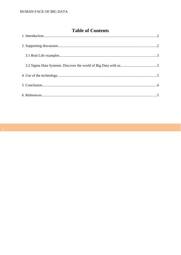 THE HUMAN FACE OF BIG DATA