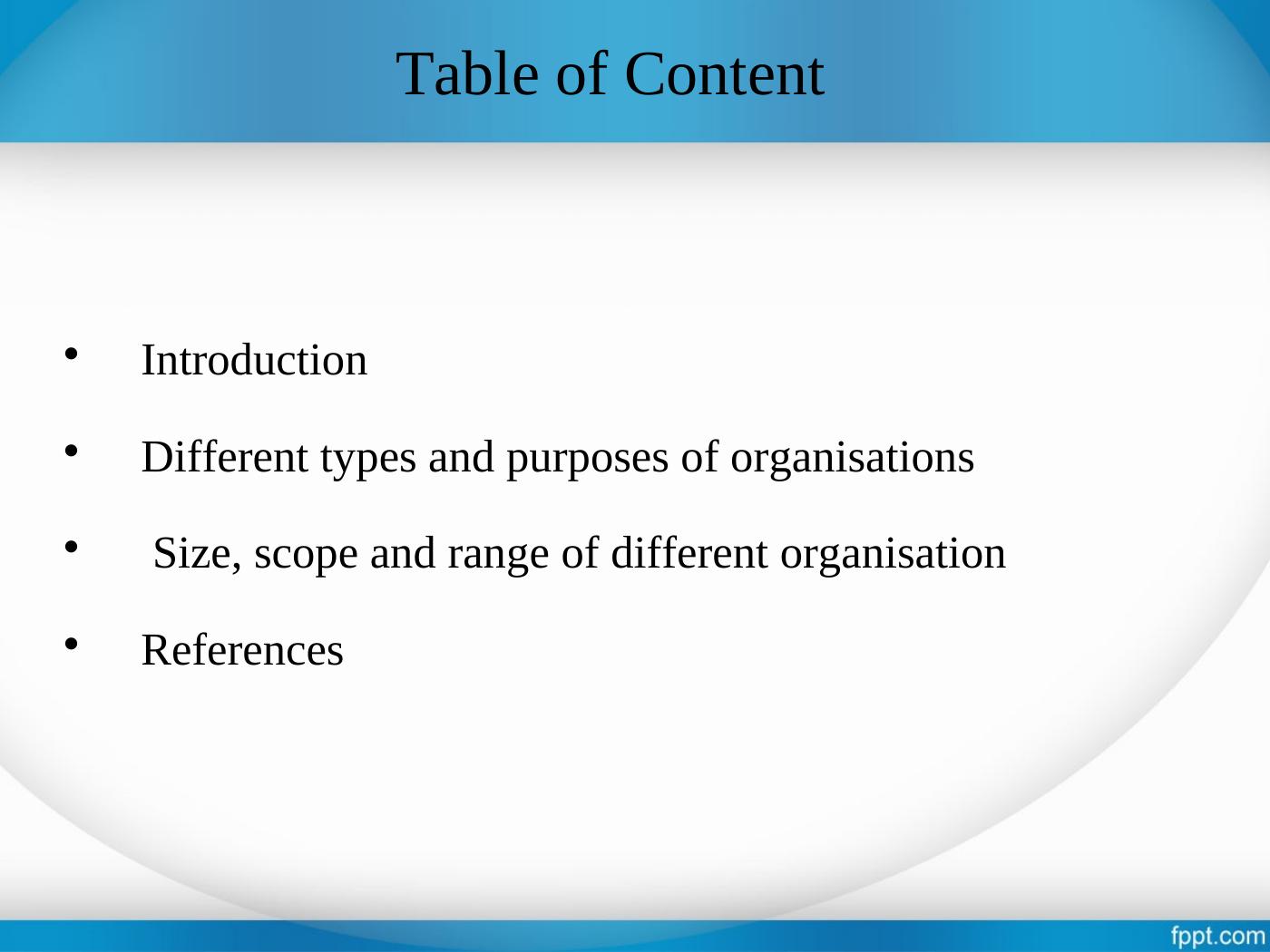 Exploring Organisation Types, Size, Scope - HND Business