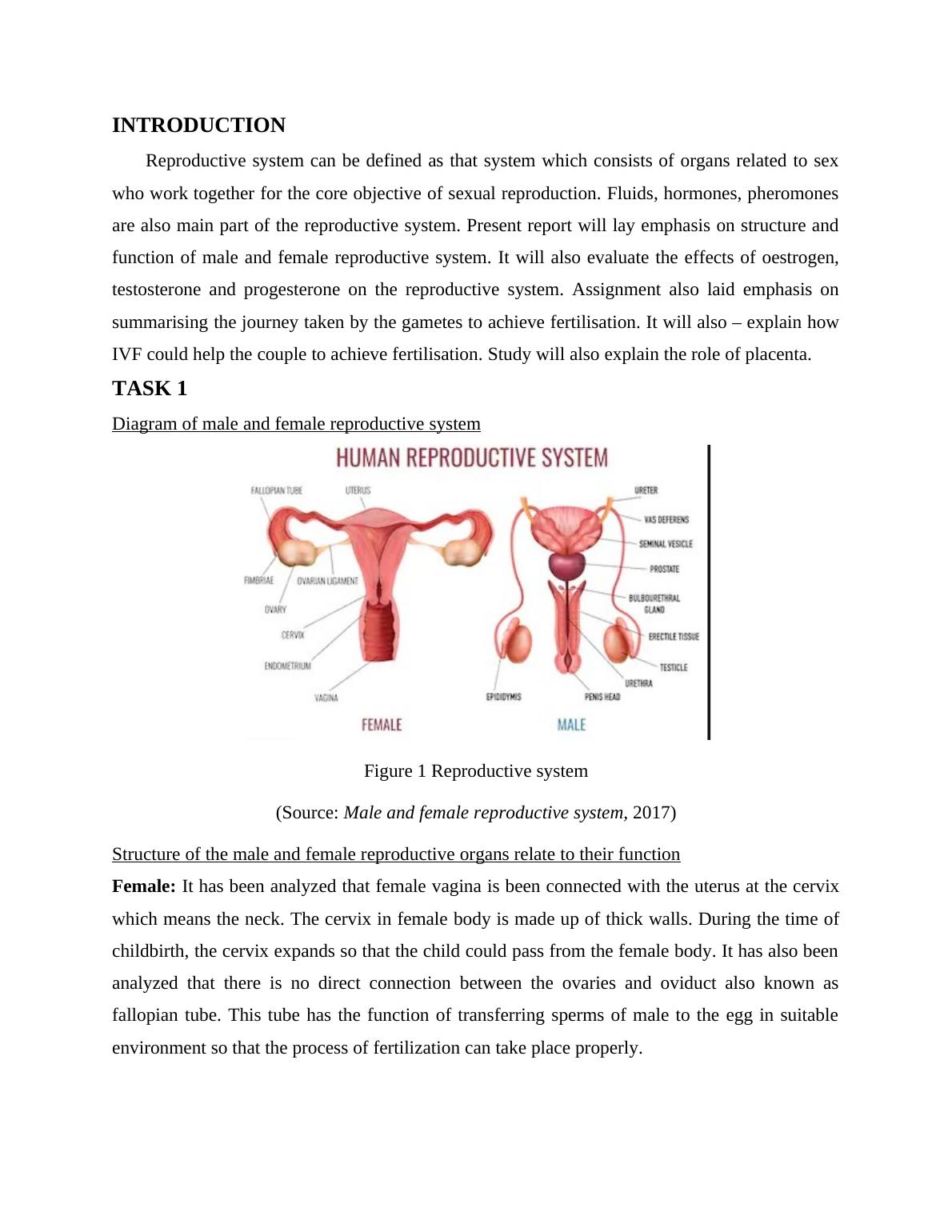 Reproductive System Analysis: Hormones, Gametes, and IVF