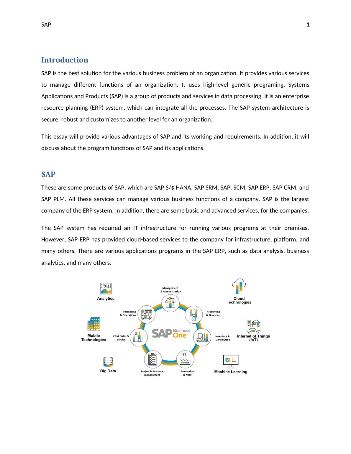 Systems Applications and Products (SAP) Essay 2022