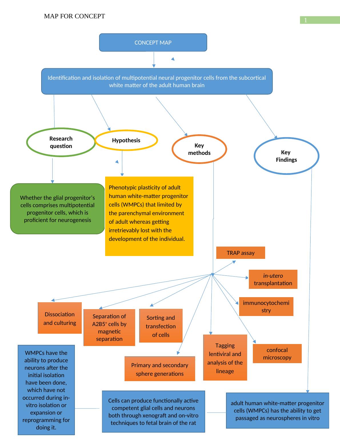 Concept Map Report: Neural Progenitor Cells in Brain