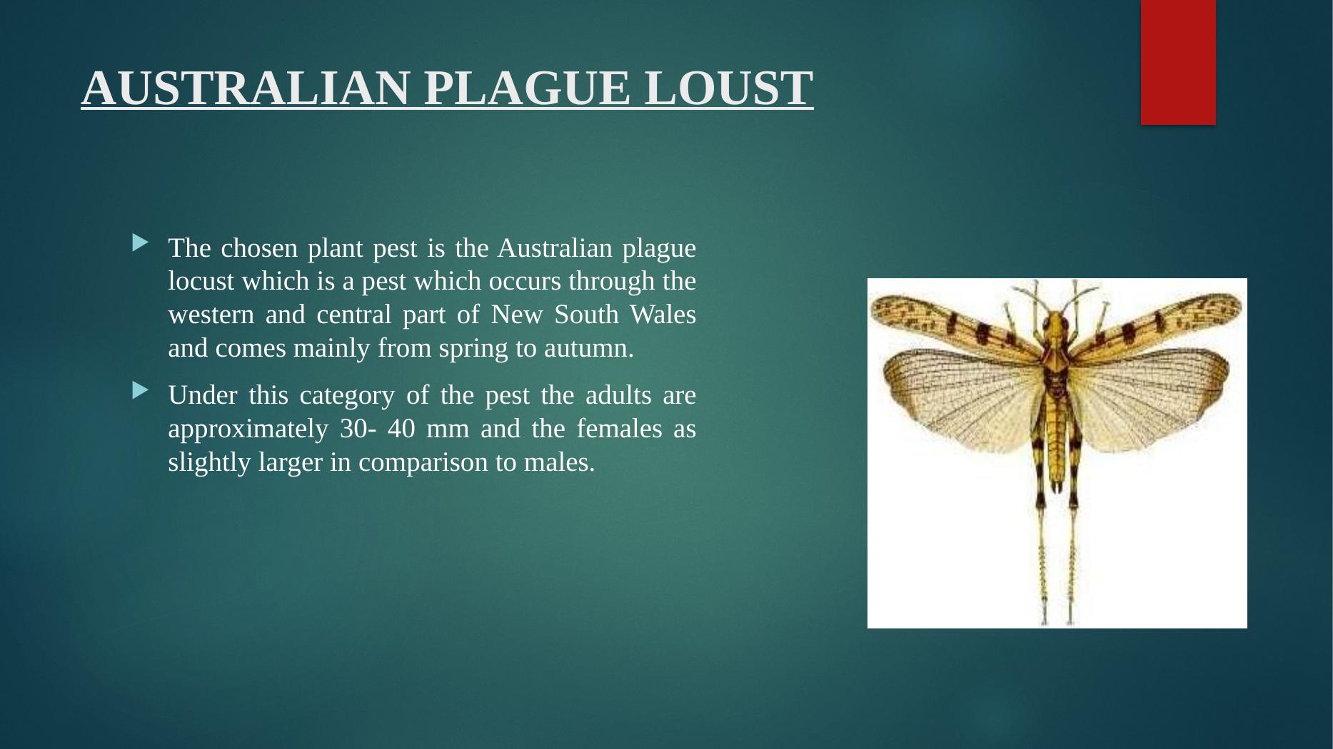 PLANTPLAN: Managing Australian Plague Locust Outbreaks