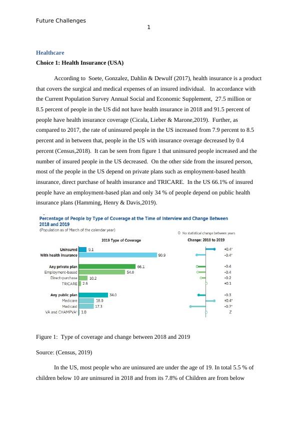 Healthcare Challenges: Insurance, Homelessness, Innovation