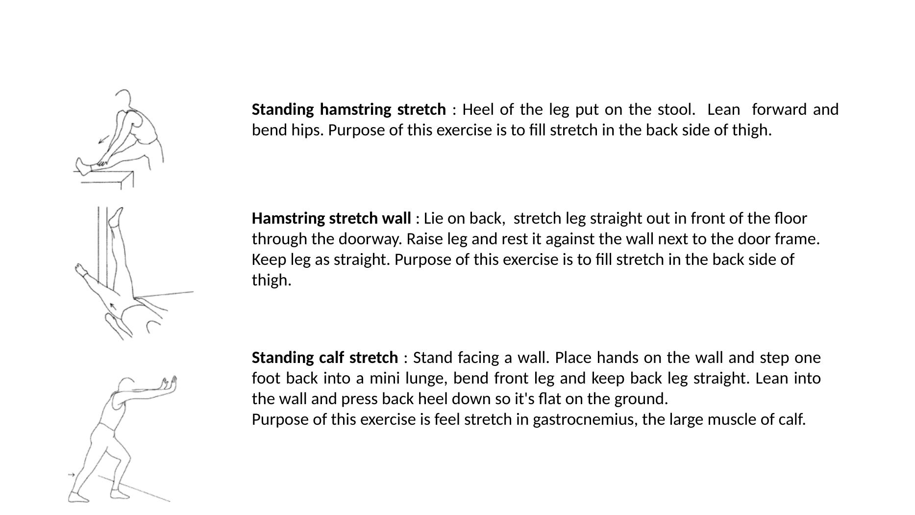 Exercise. Standing hamstring stretch : Heel of the leg