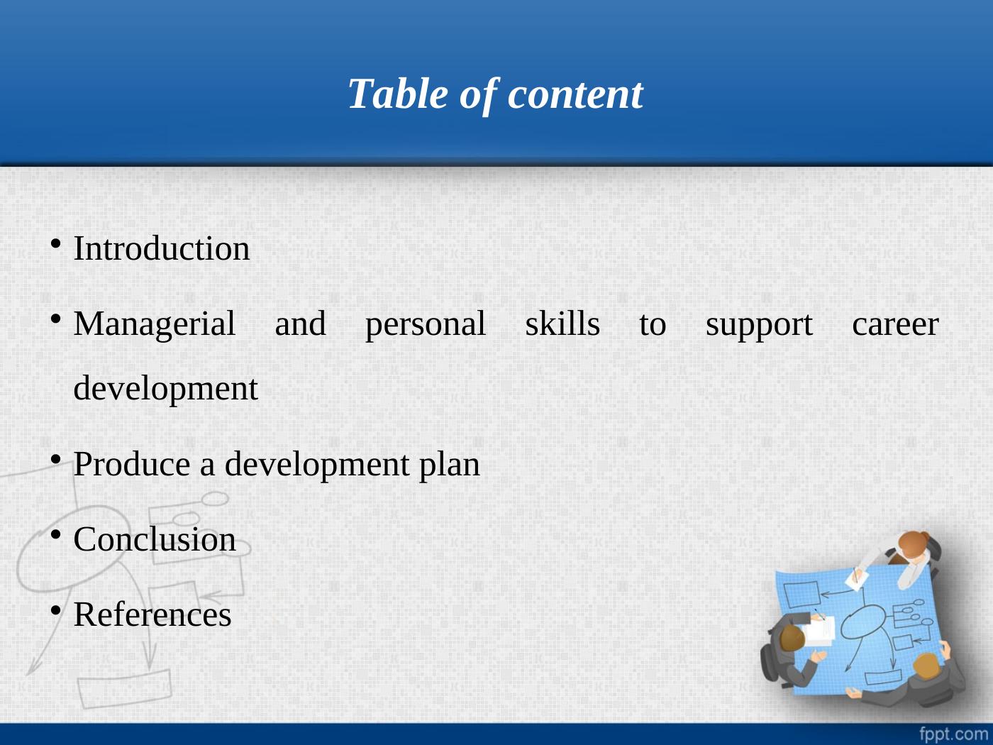 Management Report: Skills, Development Plan, and Career