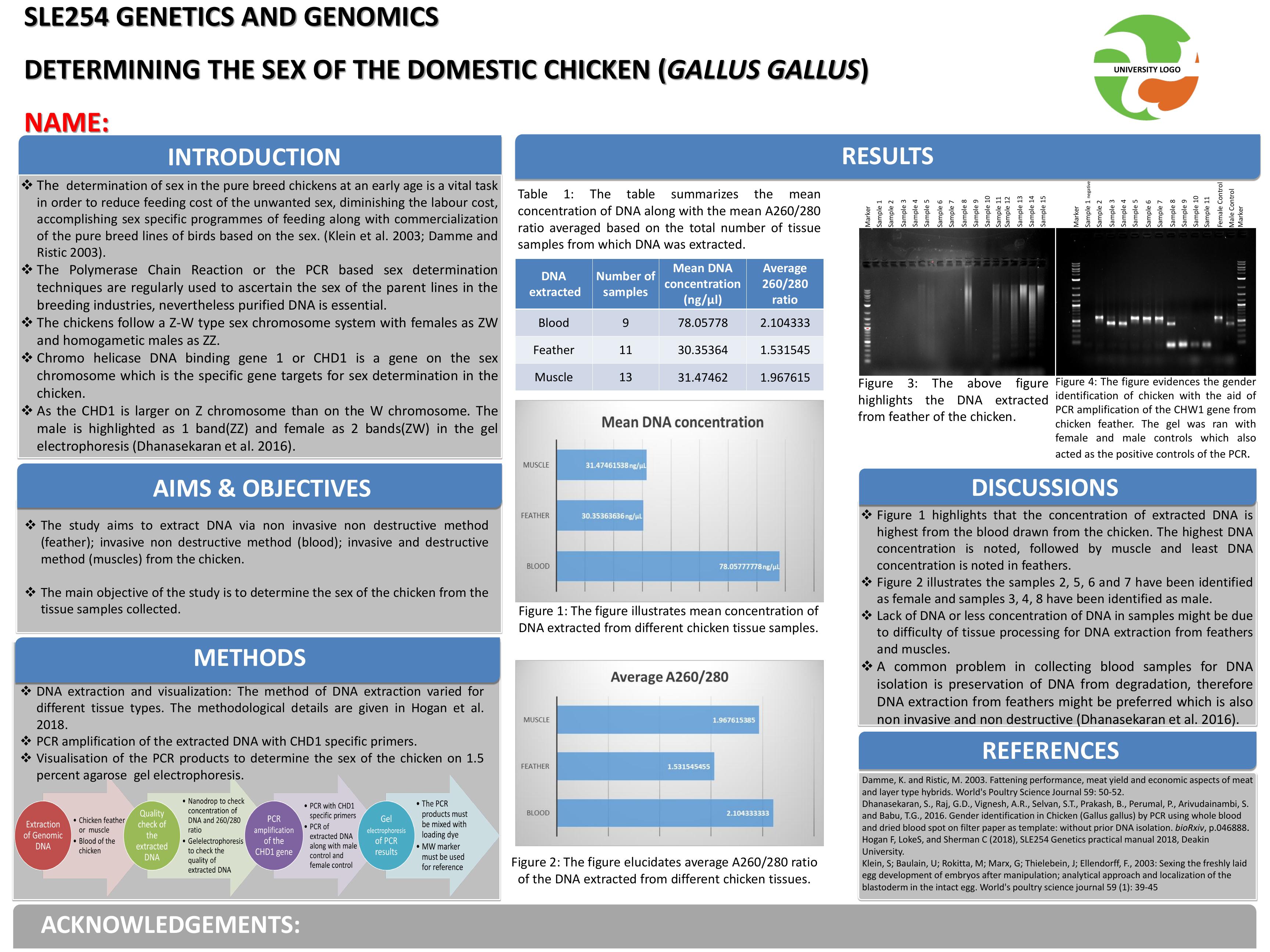 Chicken Sex Determination in Gallus gallus - SLE254