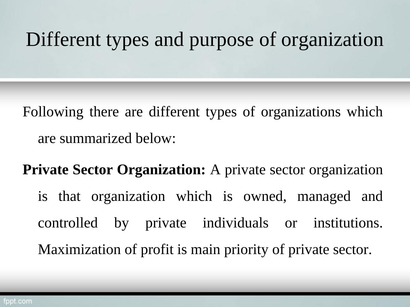 Business Environment - Types, Scope, and Purpose of Organizations