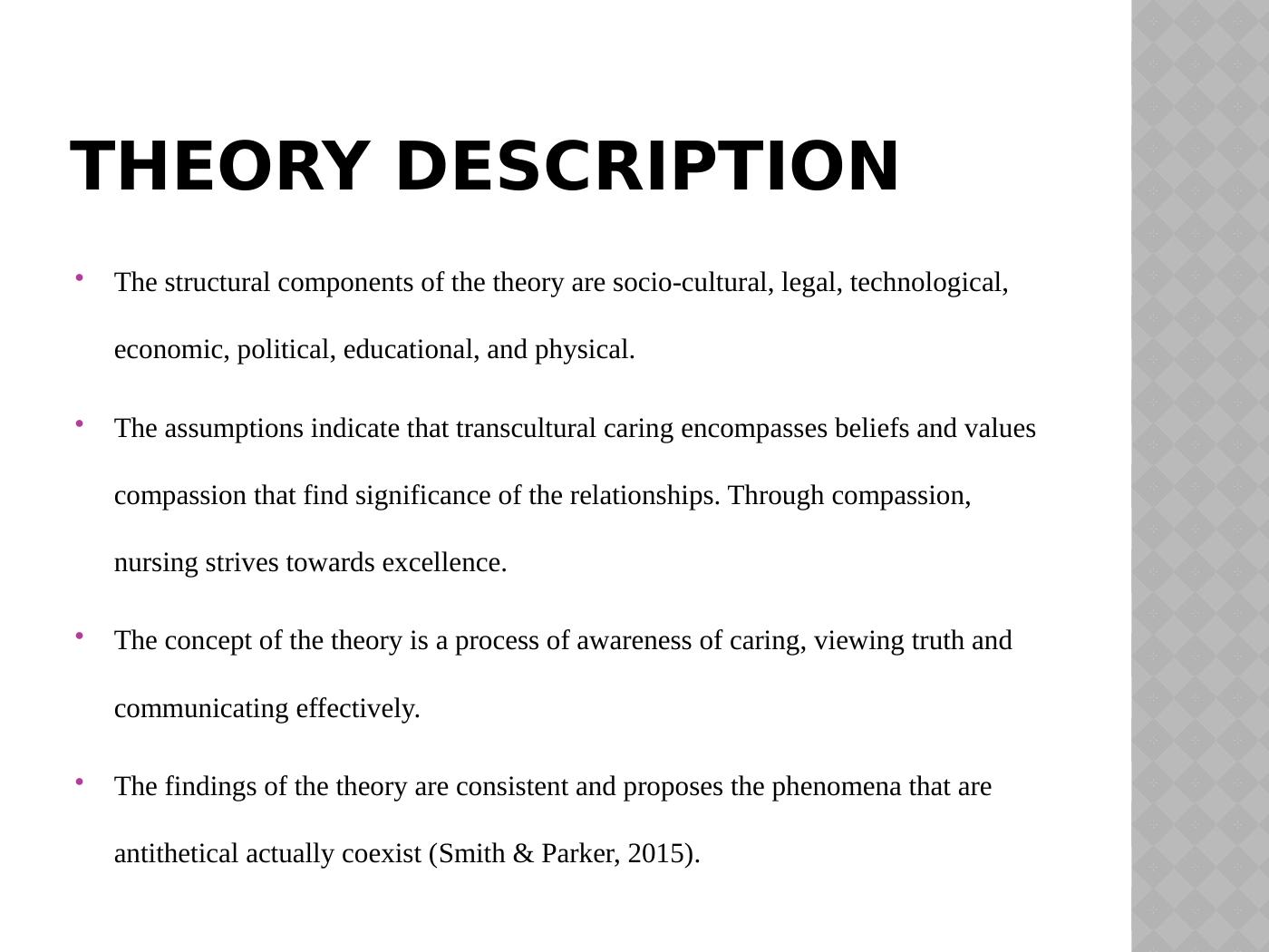 Marilyn Anne Ray’s Theory of Bureaucratic Caring