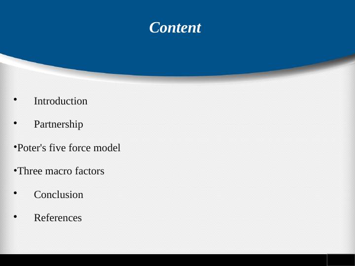 Business Report: Introduction, Partnership, and Porters