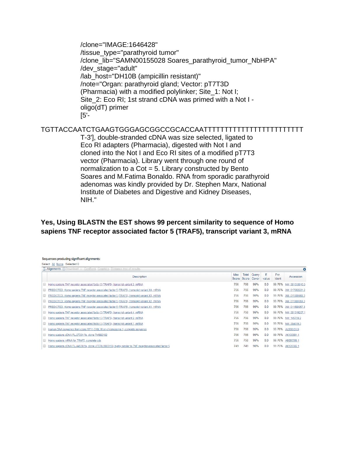 Bioinformatics Assignment: NCBI Accession and BLAST Analysis