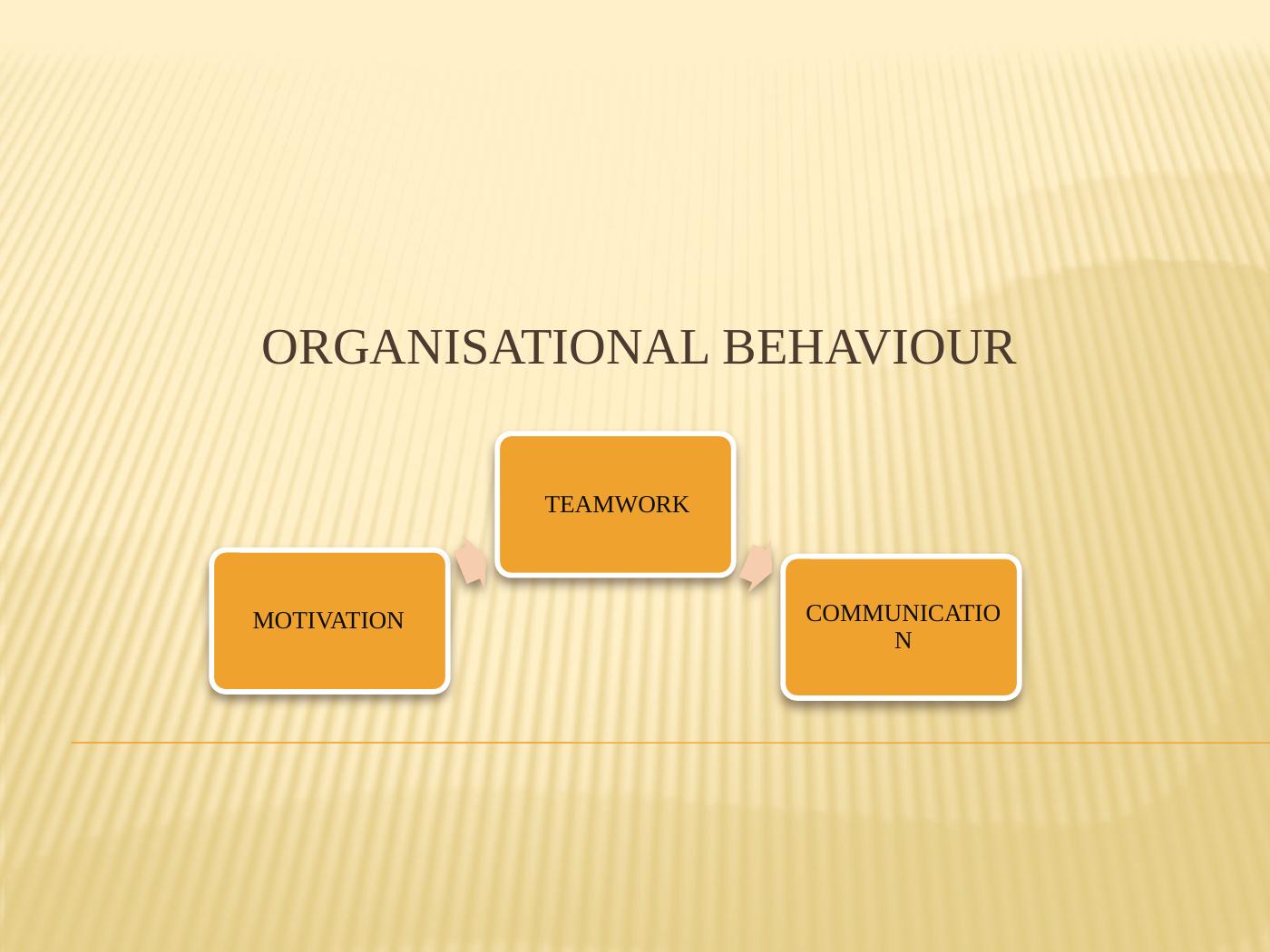 Organisational Behaviour: Teamwork, Motivation, Communication
