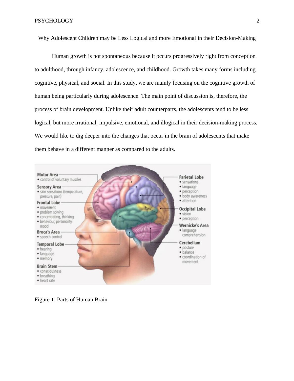 Adolescent Children's Decision-Making: Emotional vs Logical
