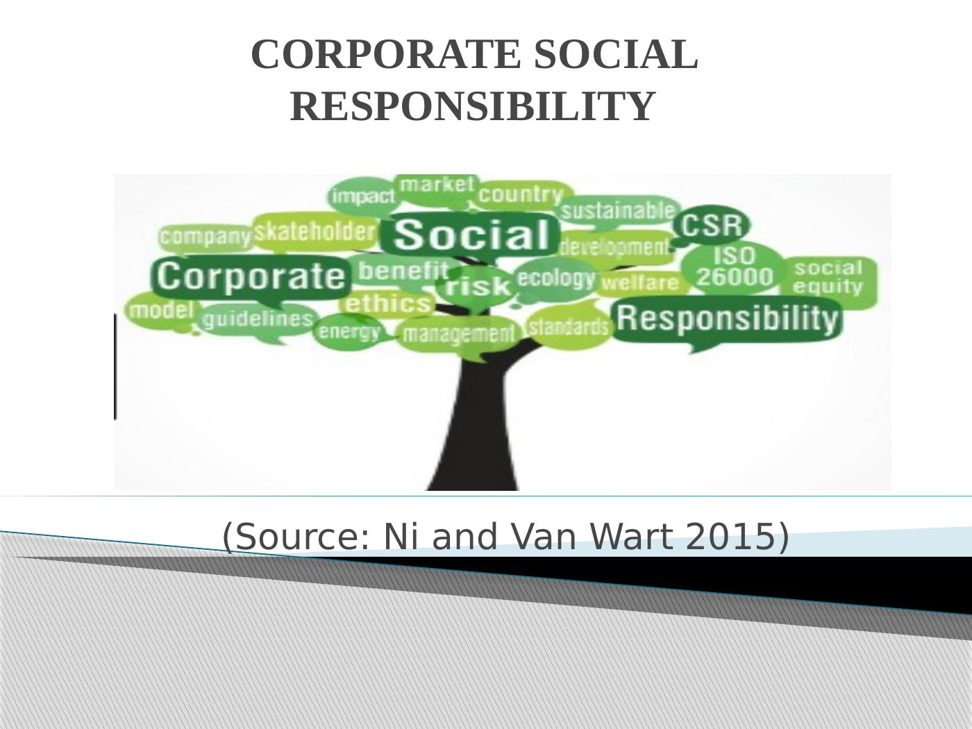A Plan for Resolving Corporate Social Responsibility Issues
