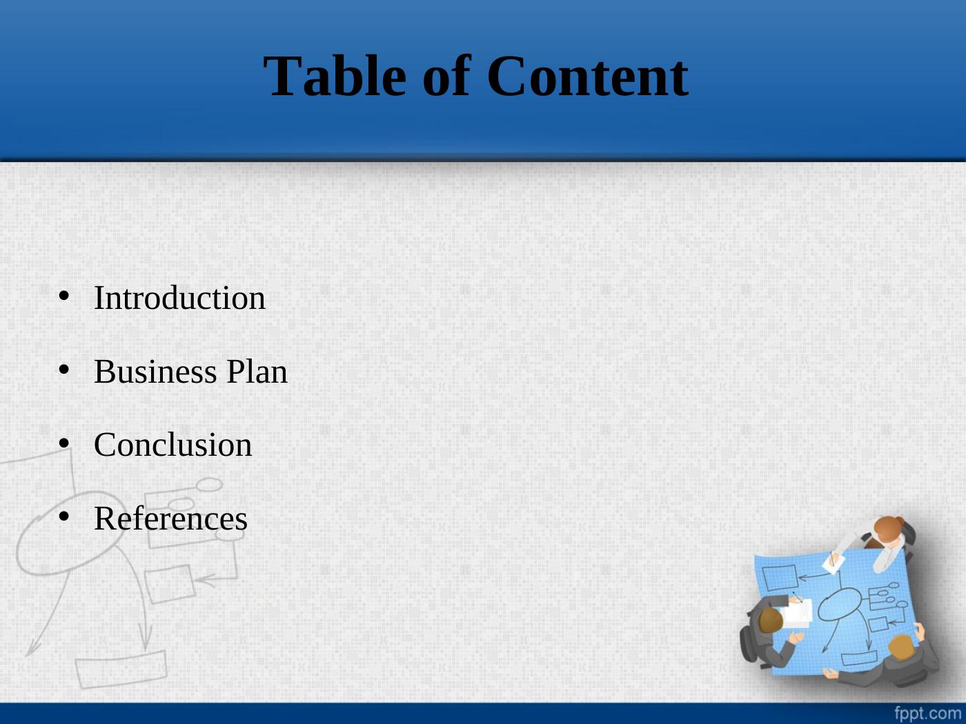 AP Consultancy: Business Plan Presentation and Analysis