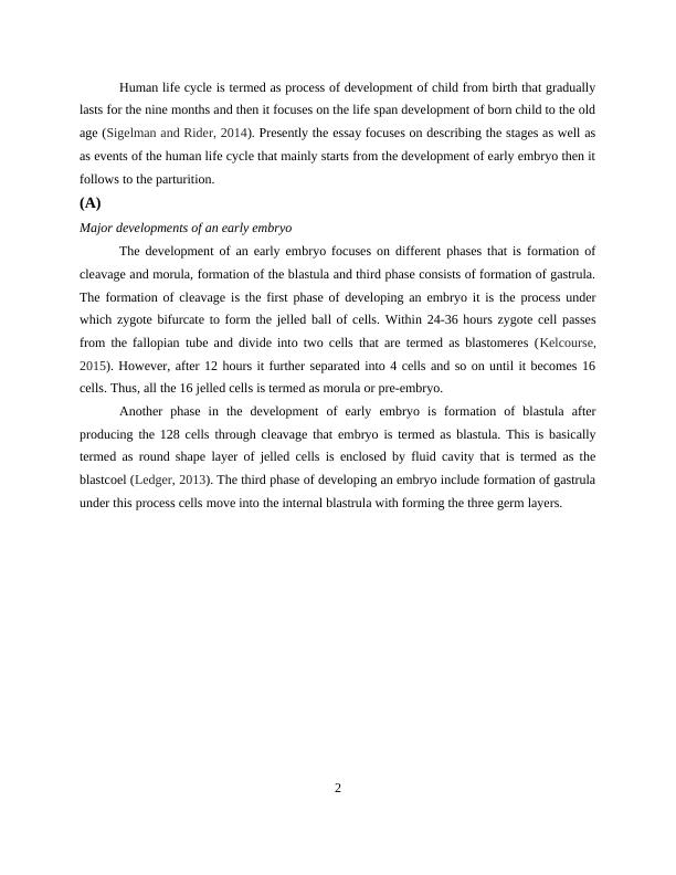 Exploring Human Development: A Journey Through the Life Cycle