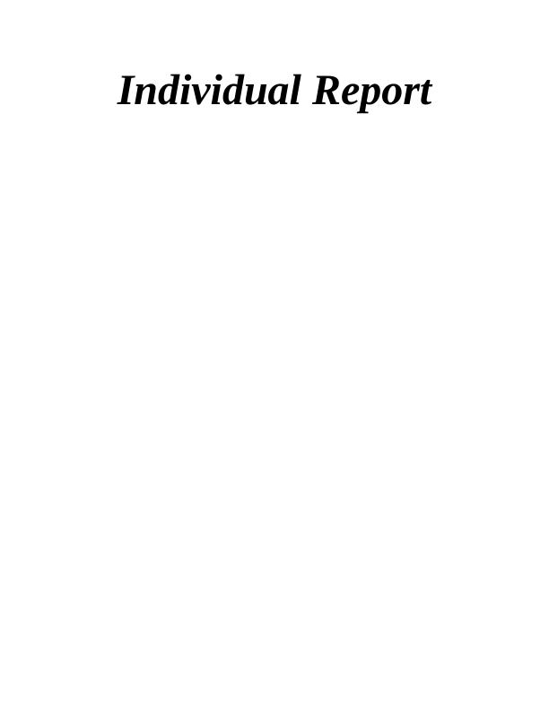Individual Report - Personal and Professional Development