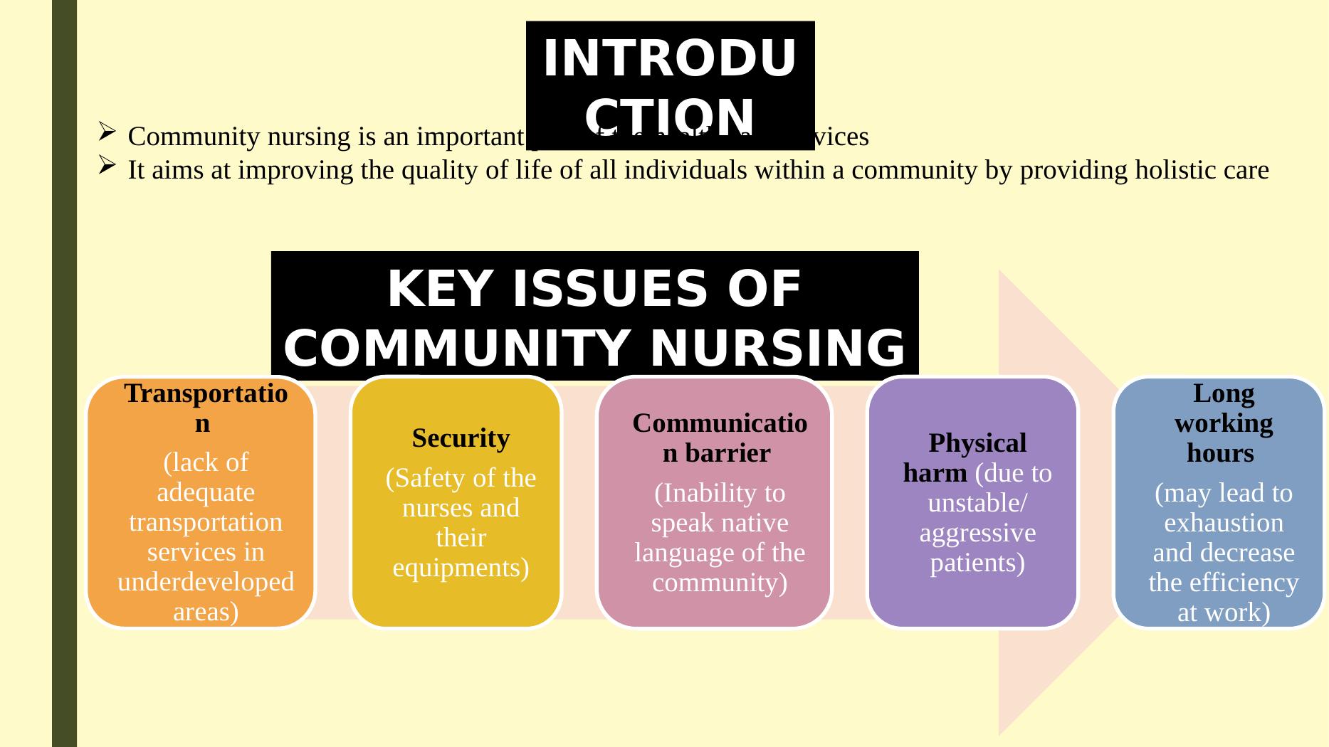 Community Nursing: Challenges, Recommendations, and Research