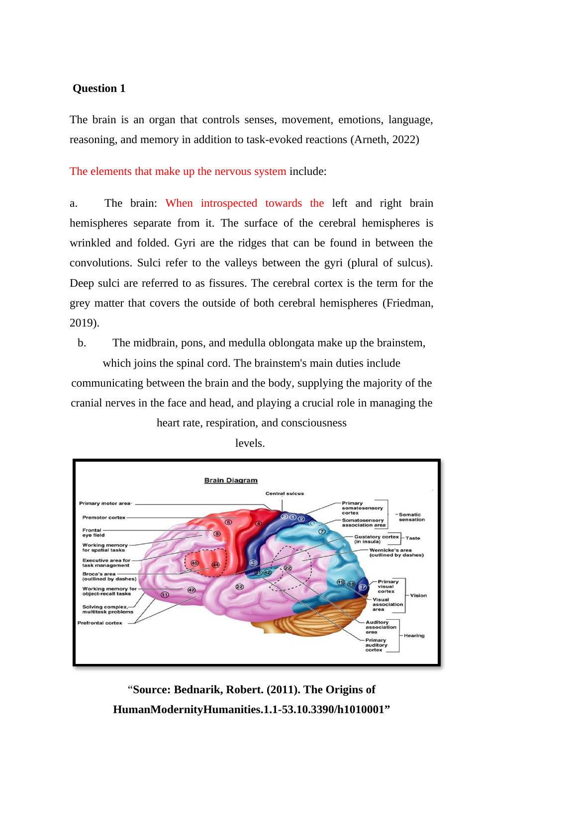Detailed Analysis: Human Nervous and Endocrine Systems